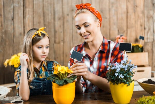 Child Support Enforcement in Maine | The Maine Divorce Group