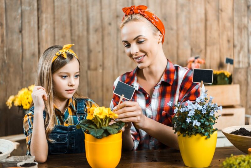 Child Support Enforcement Laws in Maine | The Maine Divorce Group